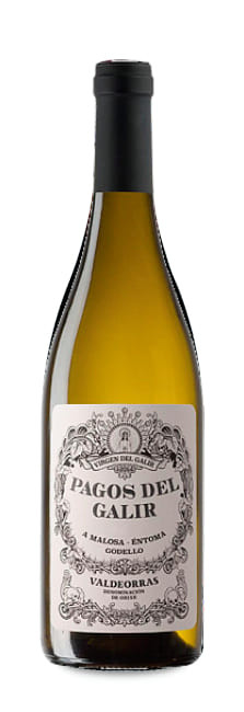 Pagos de Galir Godello 2023 | Decántalo